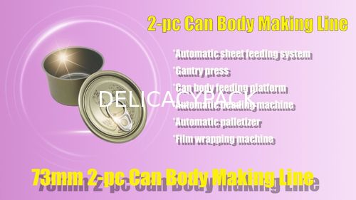 China Delicacy packaging machinery co., ltd. Company cases